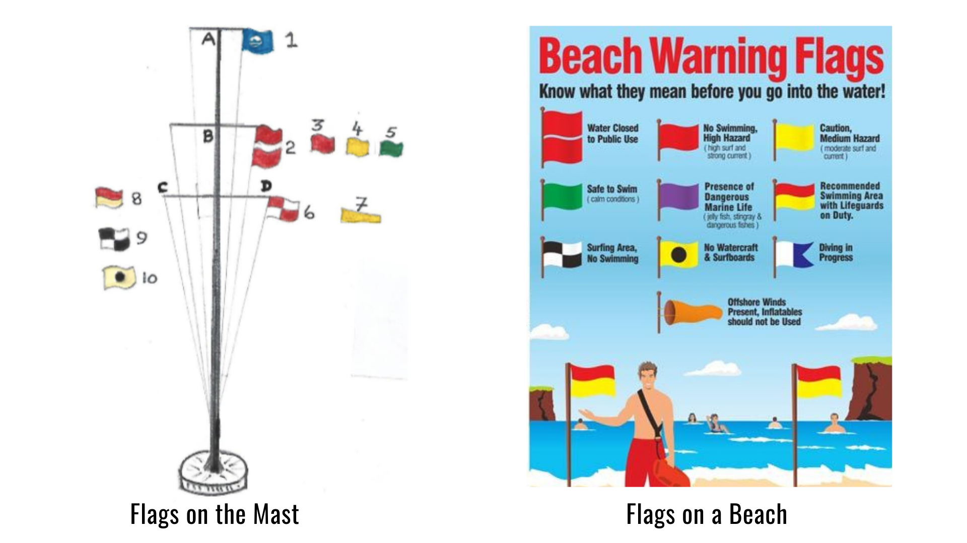 - Rashtriya Life Saving Society